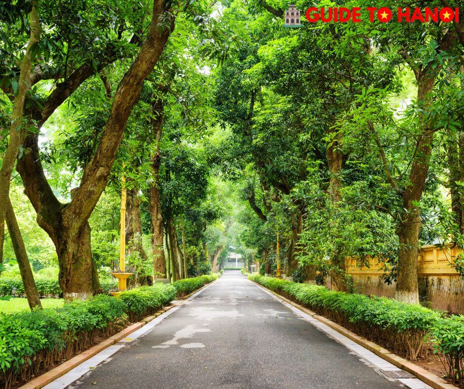 Hanoi Botanical Garden (Bach Thao Park) | Guide to Hanoi
